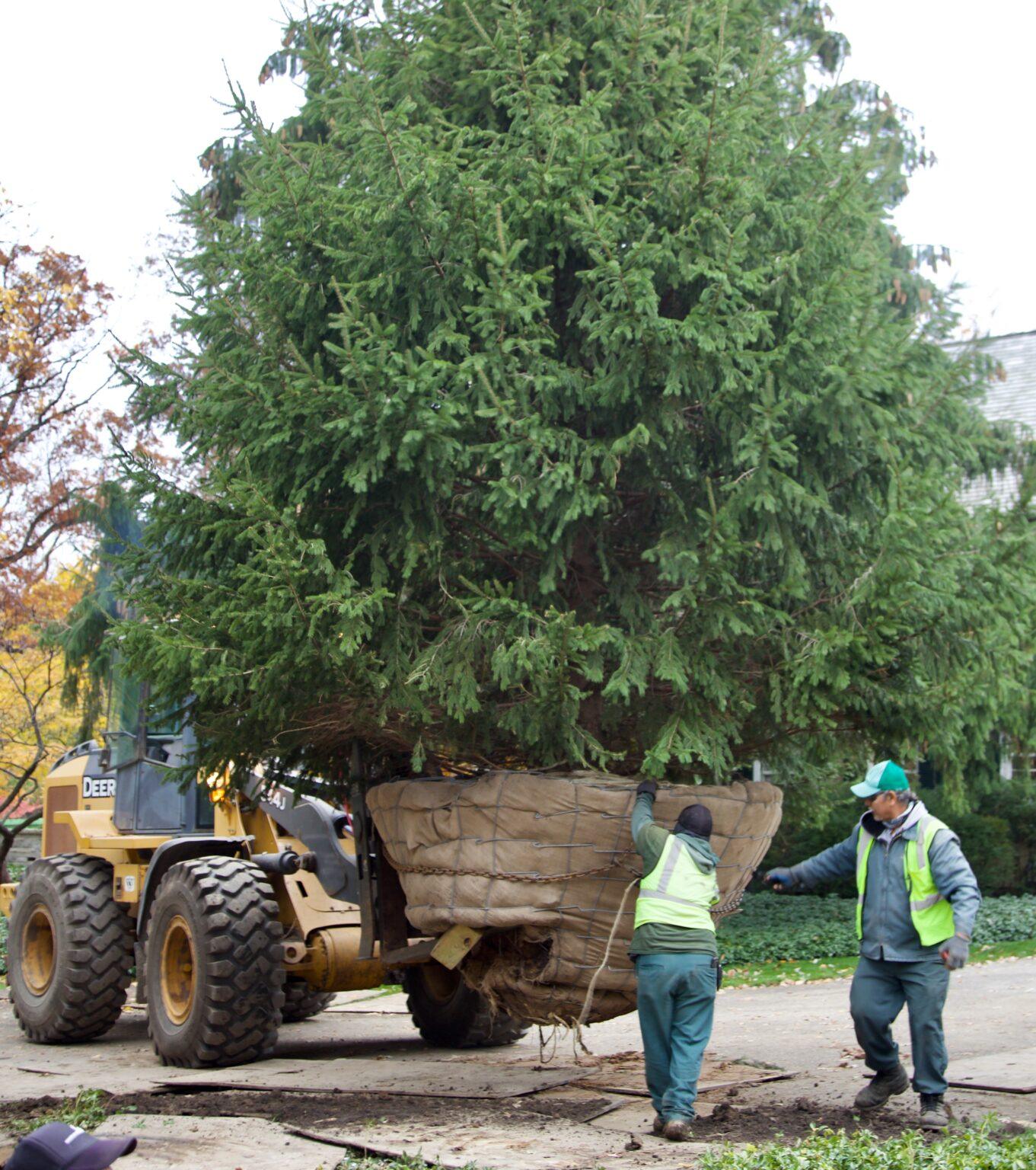Commercial Landscape Construction - Mariani Landscape